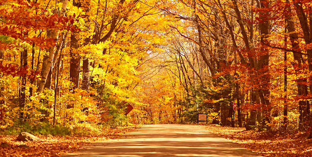 Add a Little (Pumpkin) Spice to Your Fall Internal Communications ...